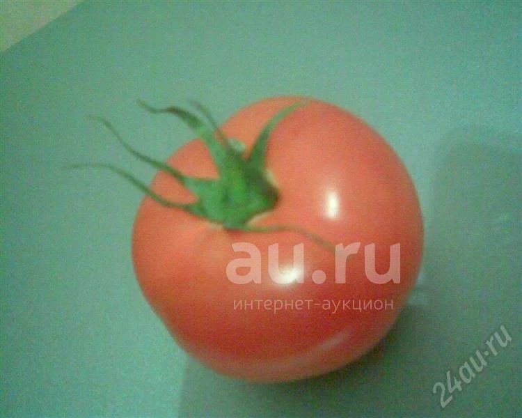 помидоры помидоры помидоры овощи;)обмен предлагайте — купить в ...
