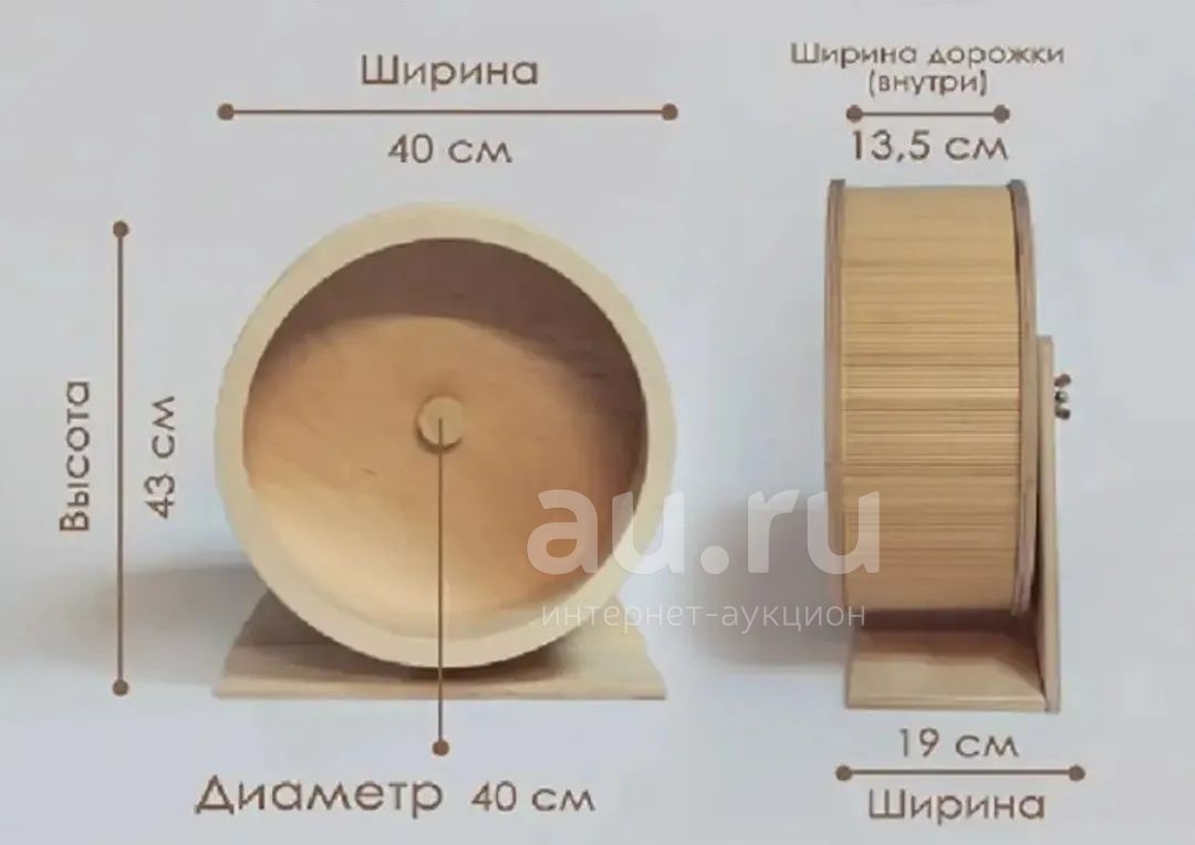 Колесо беговое для шиншиллы (грызунов) — купить в Красноярске ...