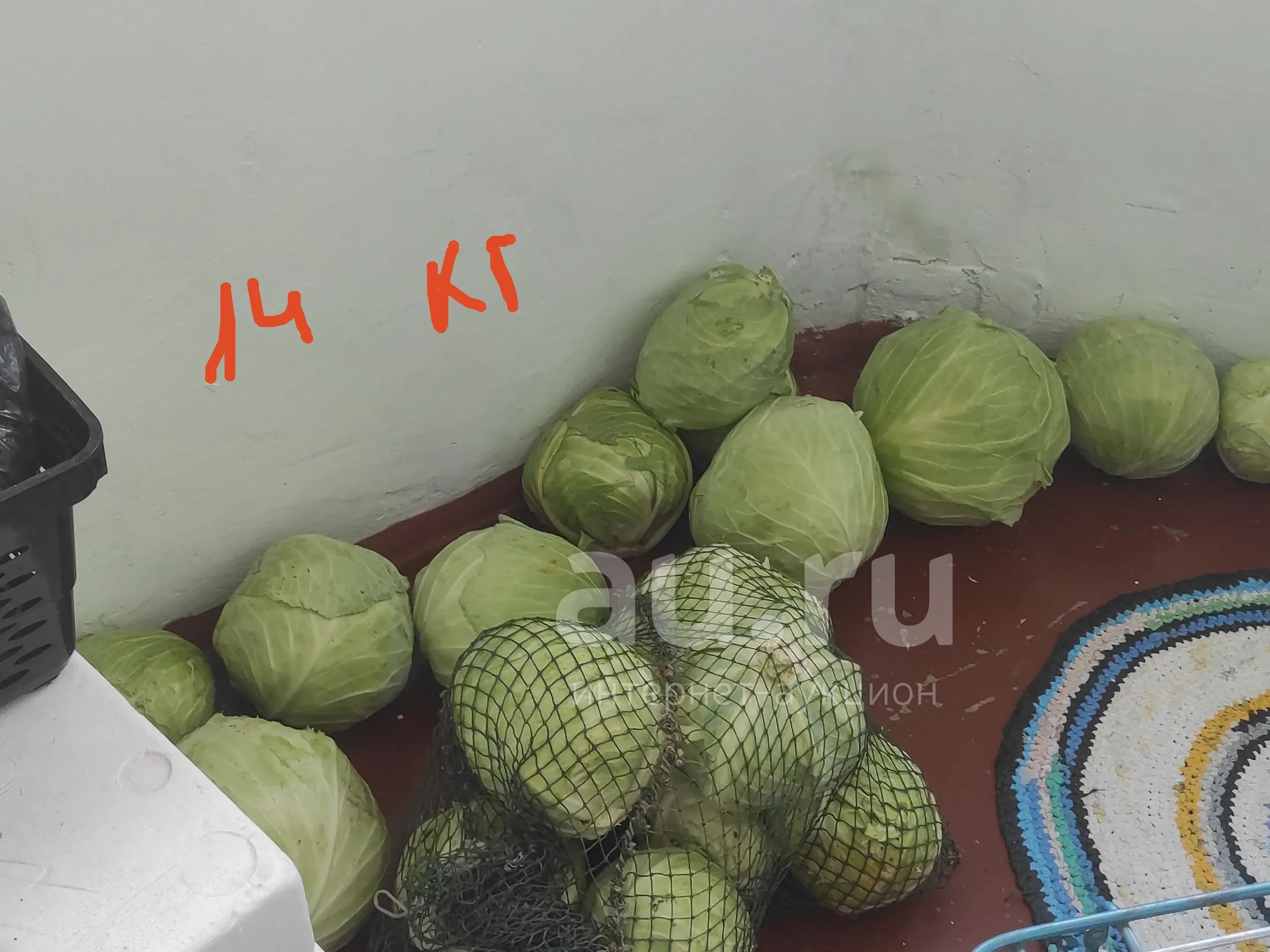 капуста 14 кг — купить в Красноярске. Овощи на интернет-аукционе Au.ru