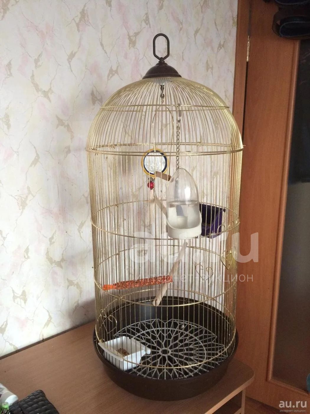 Клетка для попугаев большая — купить в Красноярске. Состояние: Б/у ...