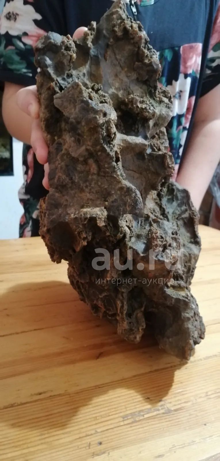Камень в аквариум — купить в Дивногорске. Состояние: Новое. Аквариумы ...