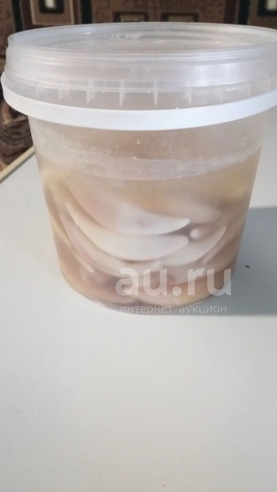 Клыки Волка, Медведя — купить в Красноярске. Чучела животных, рога ...