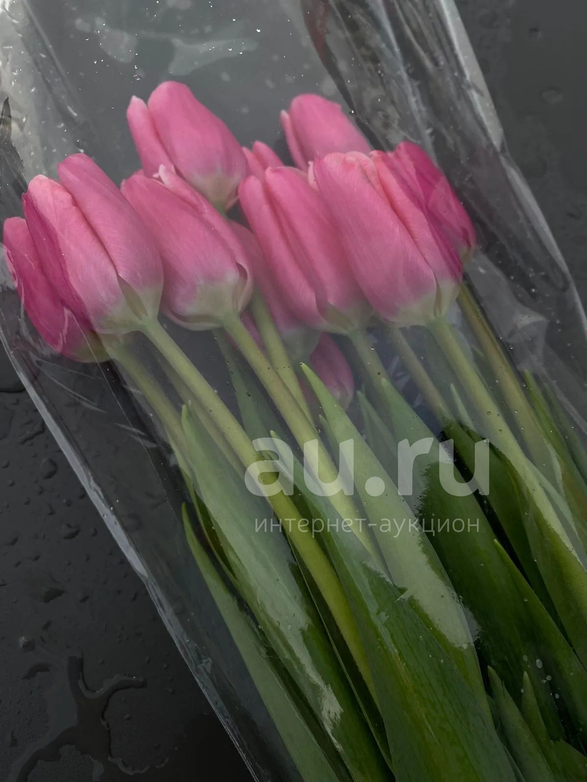 Тюльпаны 8 марта розница любовь весна — купить в Красноярске. Состояние ...