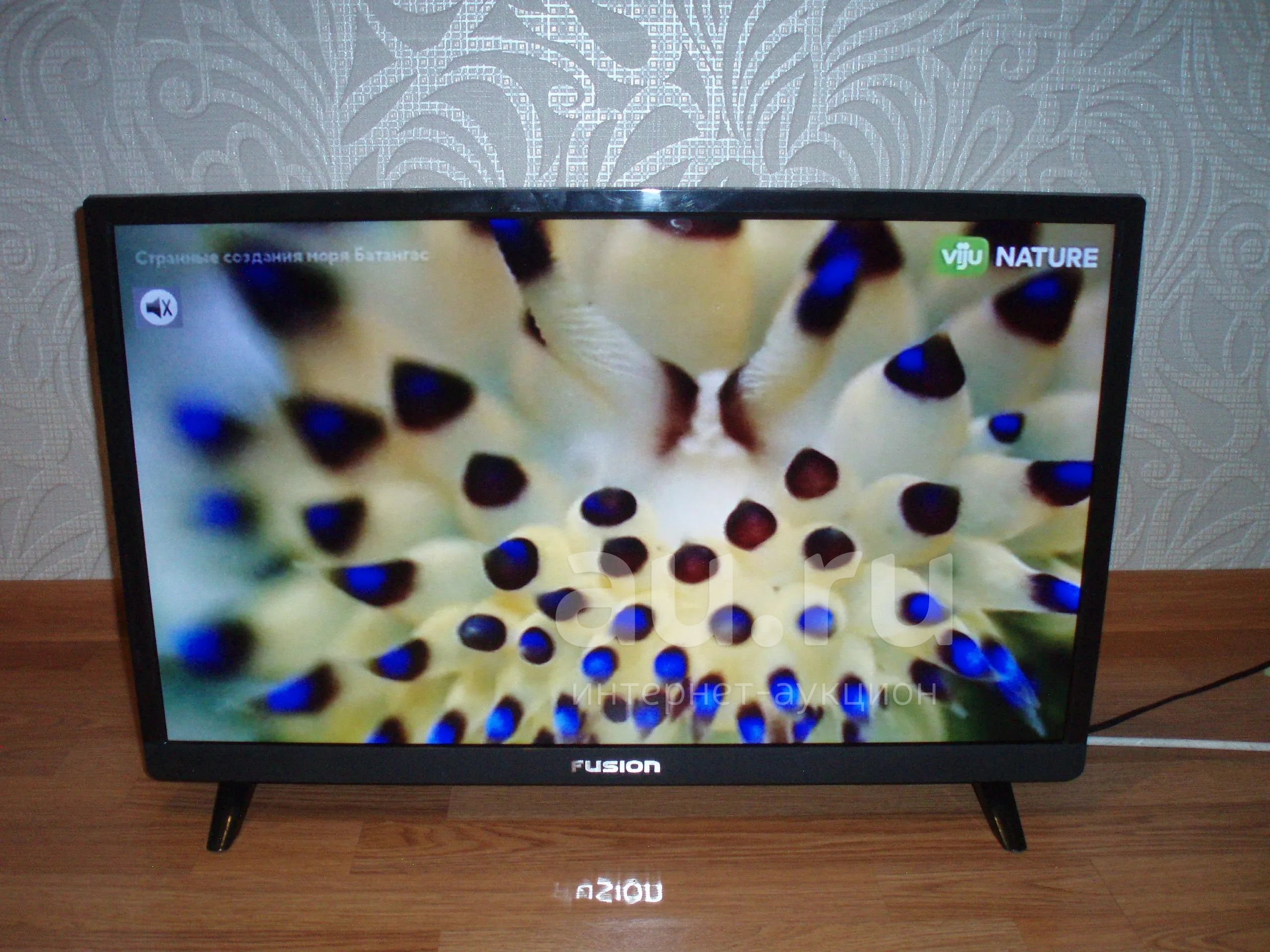 LCD телевизор 28" Fusion FLTV-30B100. — купить в Красноярске. Состояние ...